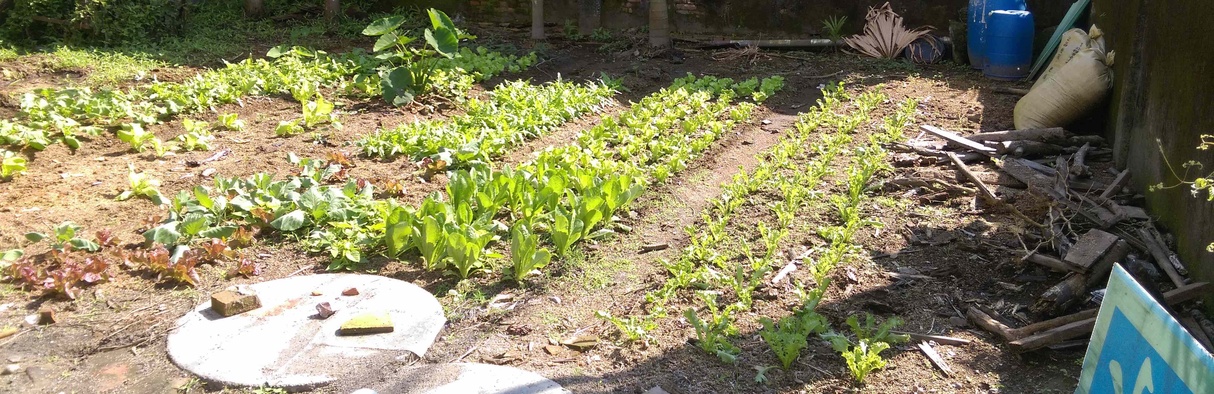 Open Hack Farm | 財團法人開放文化基金會 (OCF)